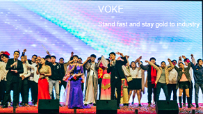 Xiamen Voke Mold & Plastic Engineering Co.,ltd.